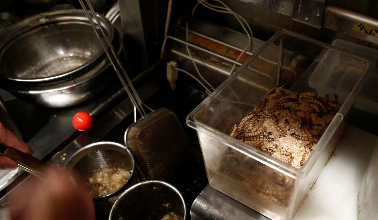 ‘Like deep-fried shrimp’: diners lap up insect-topped ramen at Tokyo ...