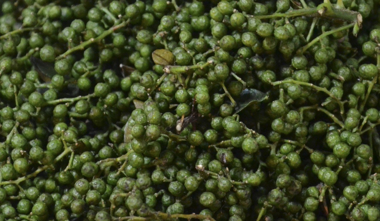 Sichuan peppercorns revealed: why they are numbing and the best places ...