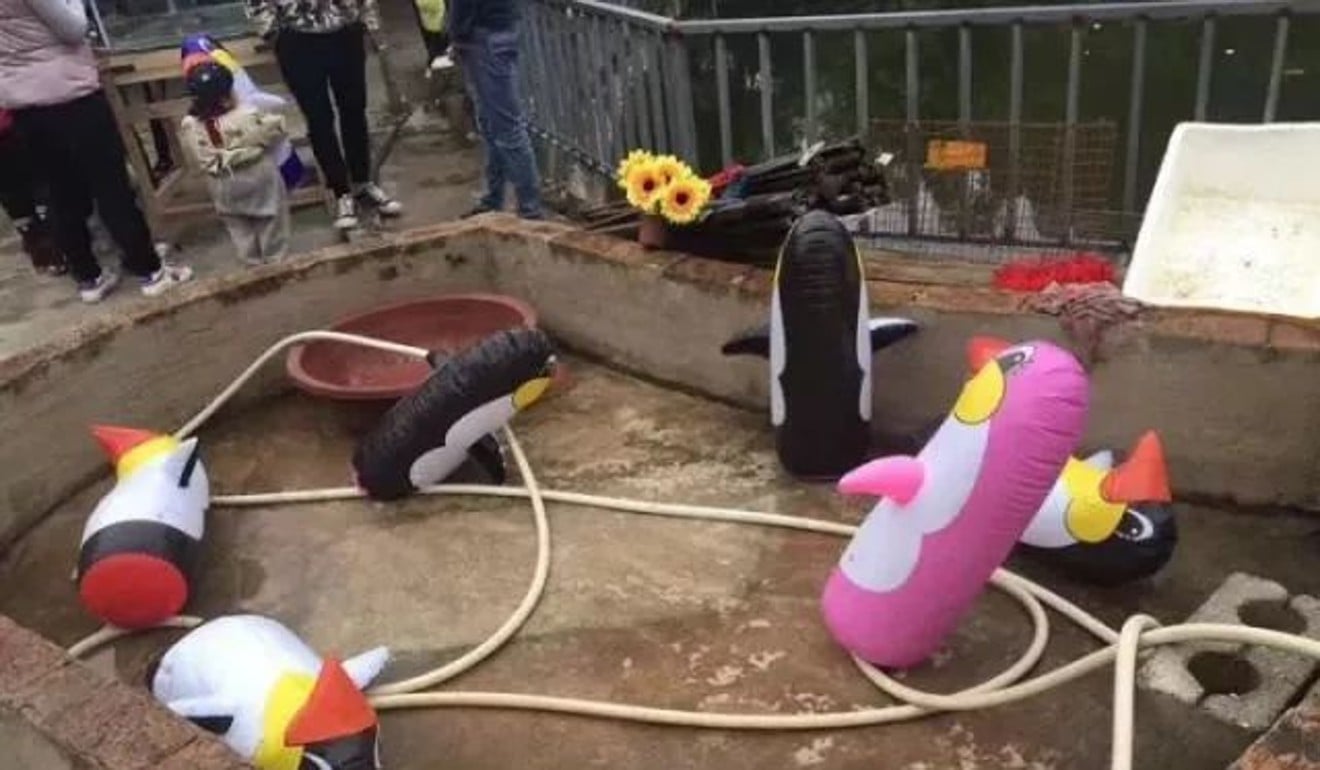 First it was plastic penguins. Now a ‘live show’ of fake butterflies is ...