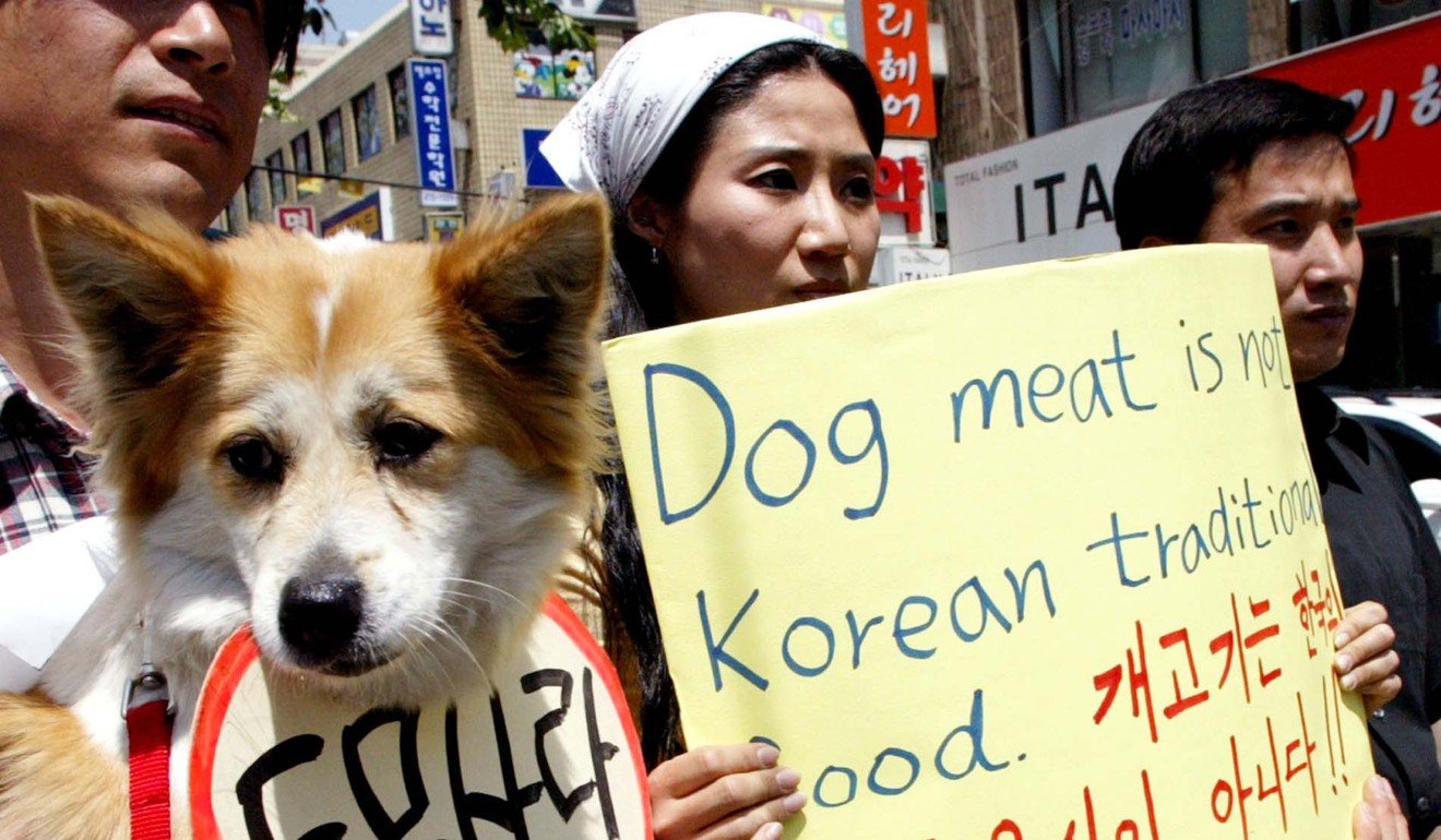 South Korea hopes to cull its dog meat trade, but the tradition will ...