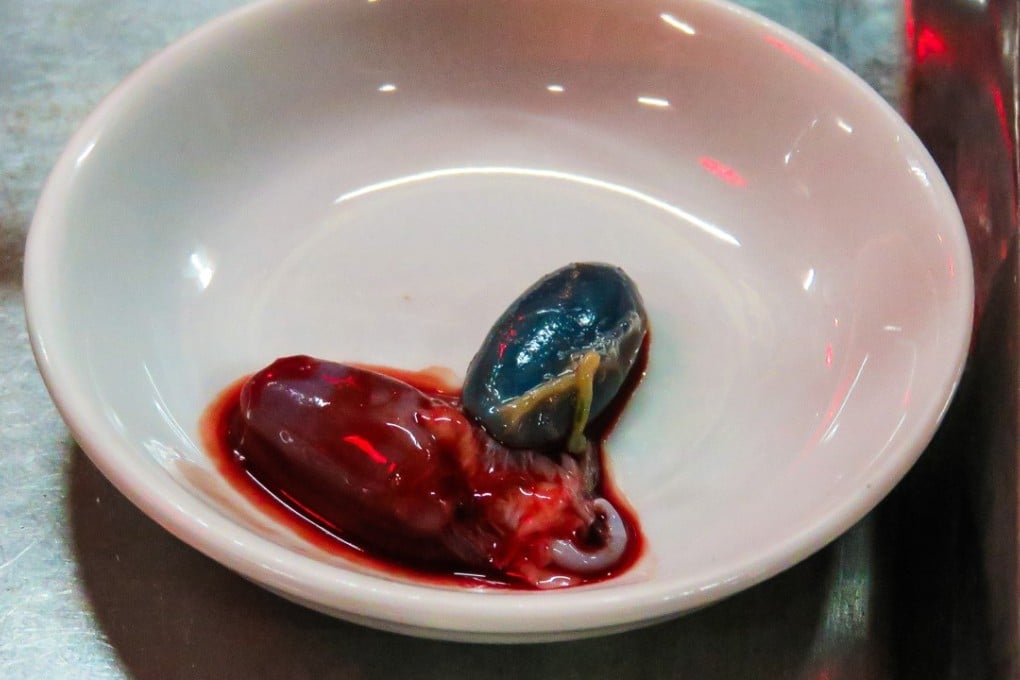 Most Disgusting Things In The World