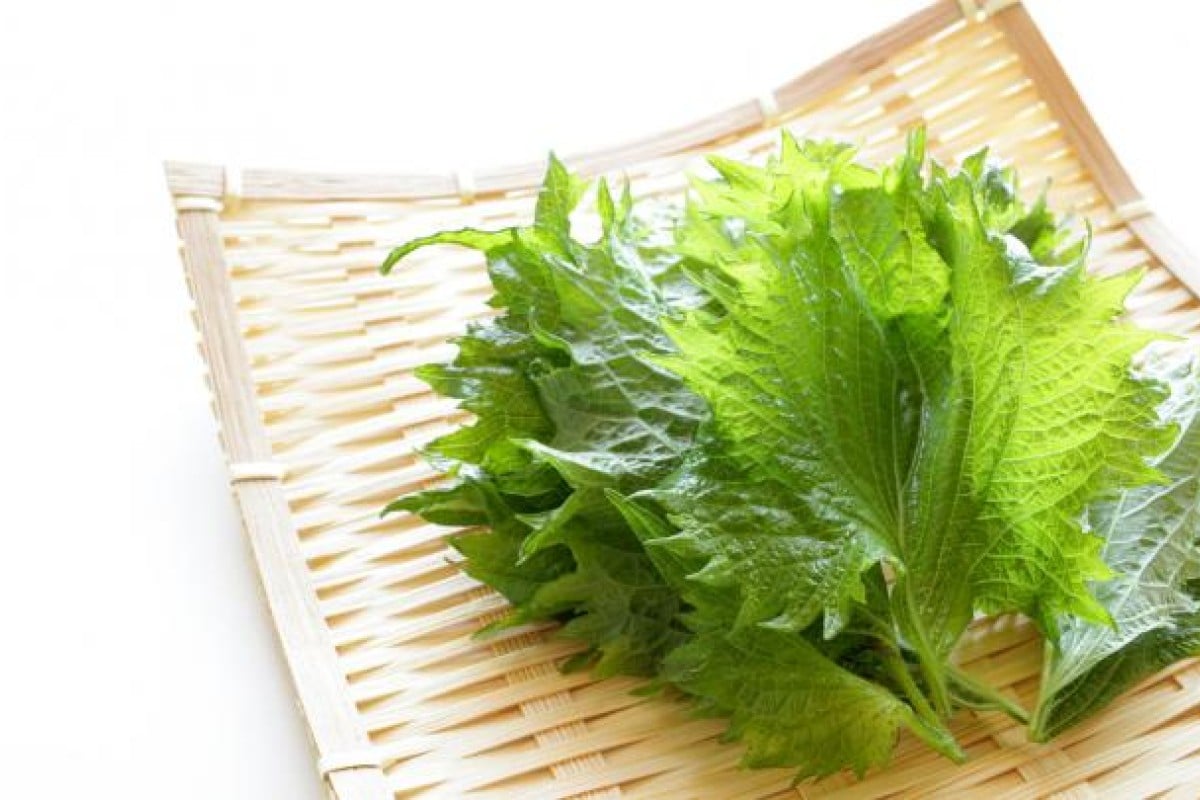 Seasons: shiso simple | South China Morning Post