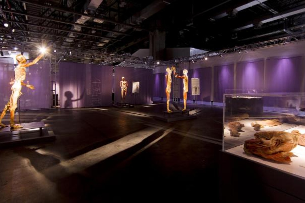 No prisoner corpses in Venetian Macao body show, organiser says | South ...