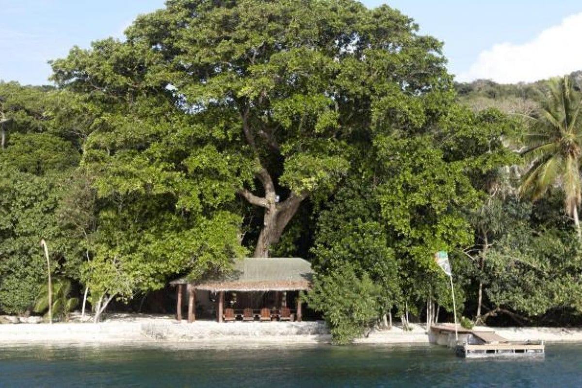 Hot spots: Trees and Fishes, Vanuatu | South China Morning Post