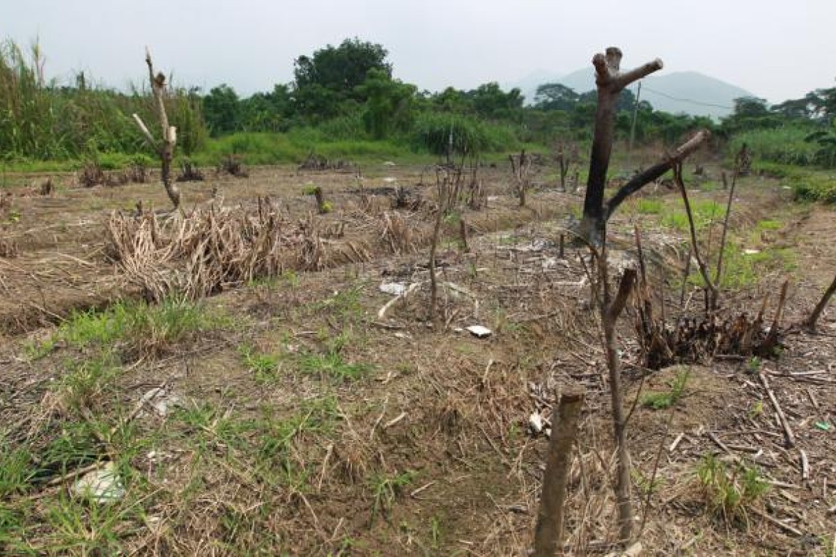 Vast land resources not being utilised | South China Morning Post Vast land resources not being utilised | South China Morning Post