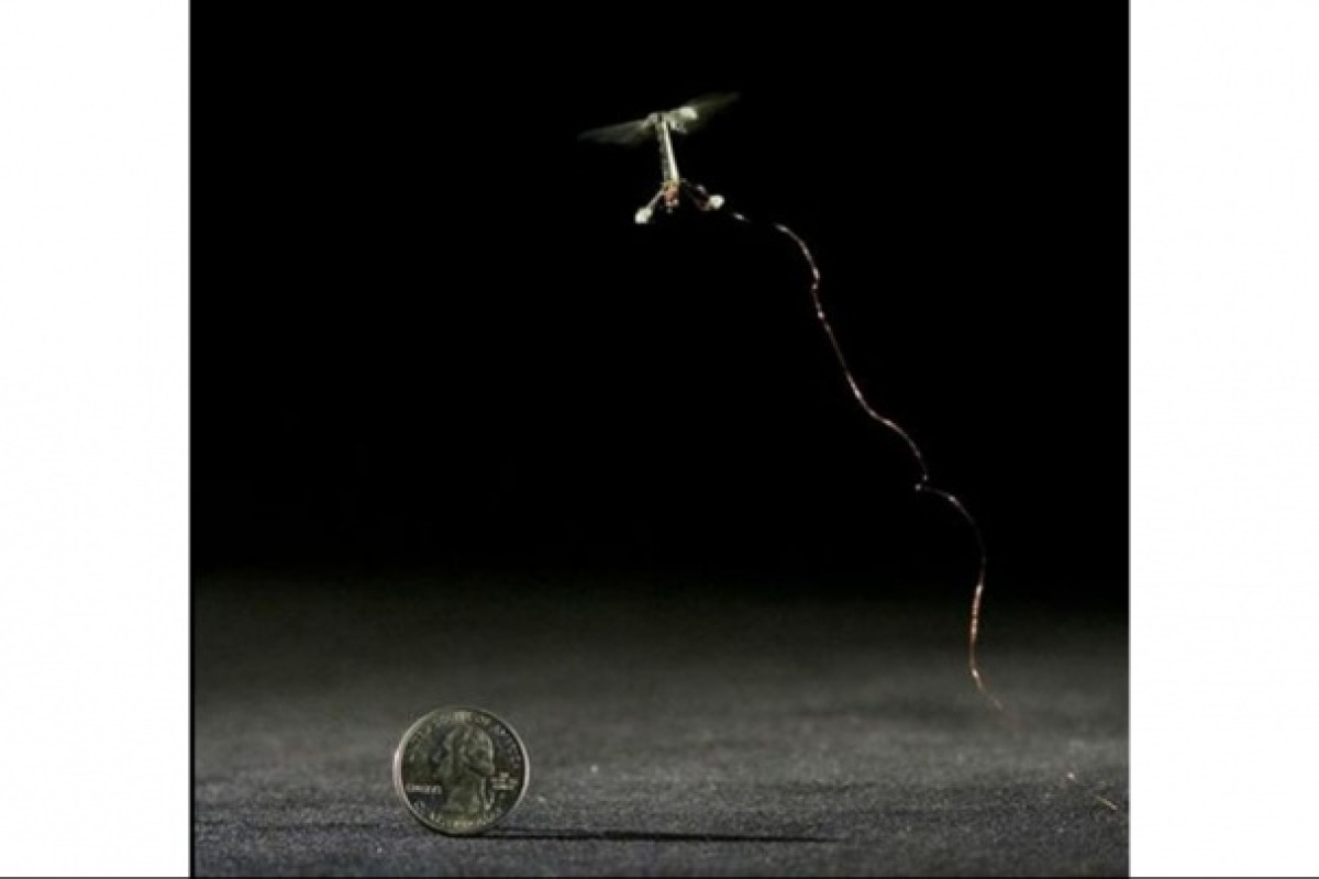 World's smallest airborne robot off to a flying start | South China ...