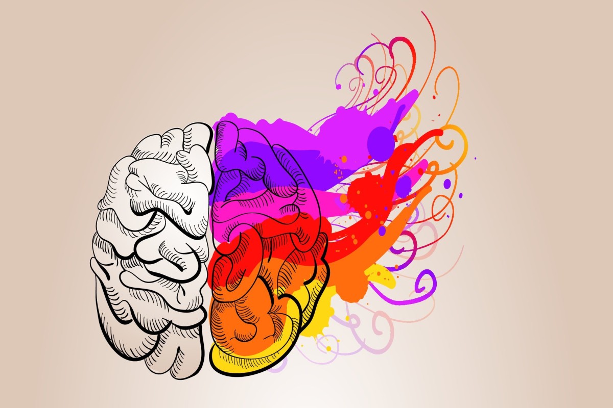 Researchers conclude that dreams originate in the brainstem | South ...