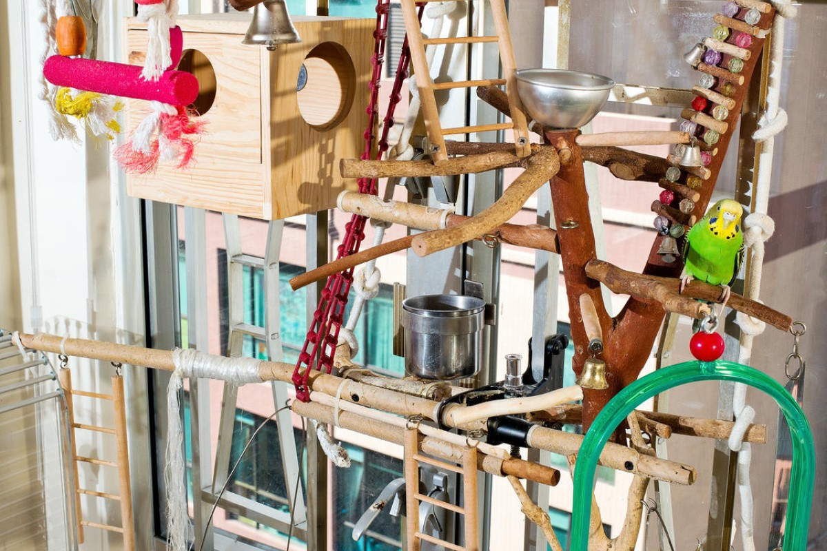 Designers, and owners, turn their hands to pet-friendly solutions ...