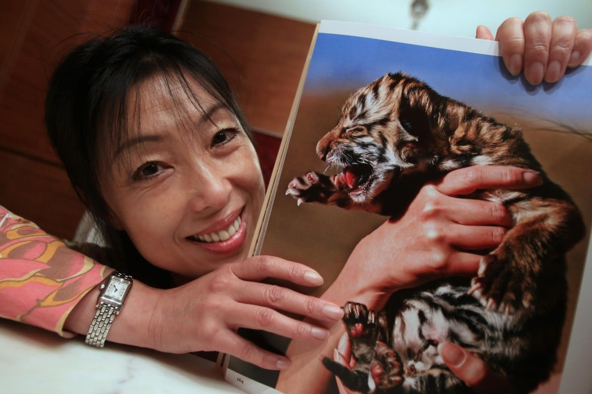 China conservationist Li Quan and husband 'abused tiger charity cash ...