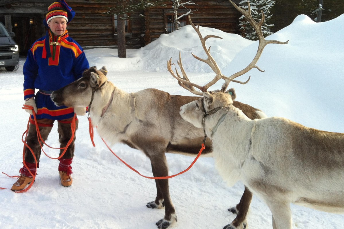 Scientists unravel eye-colour changes that allow reindeer to cope in ...