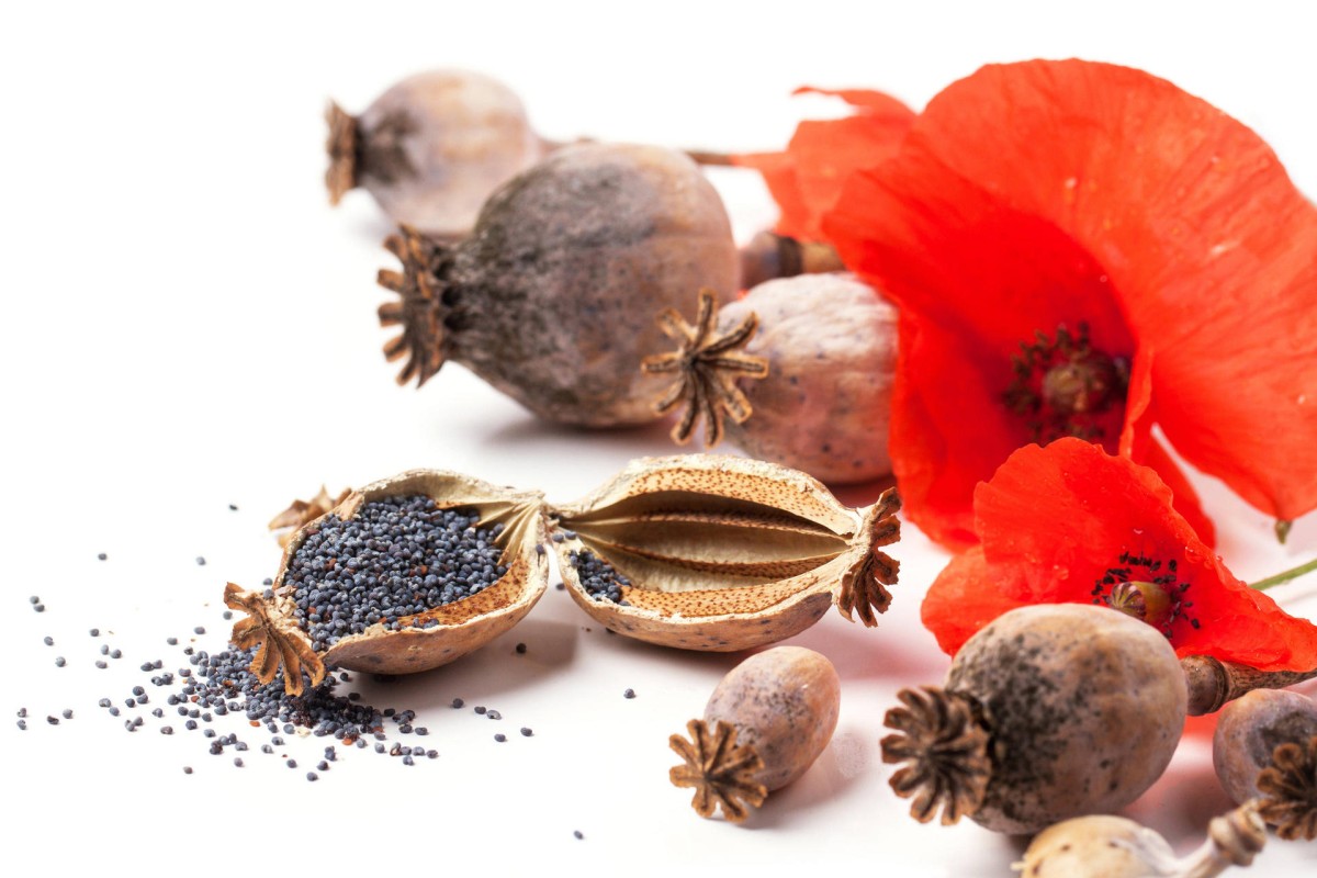 Spice market: Poppy seeds | South China Morning Post