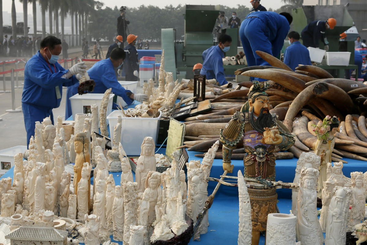 There's a strong case for destroying Hong Kong's ivory stockpile ...