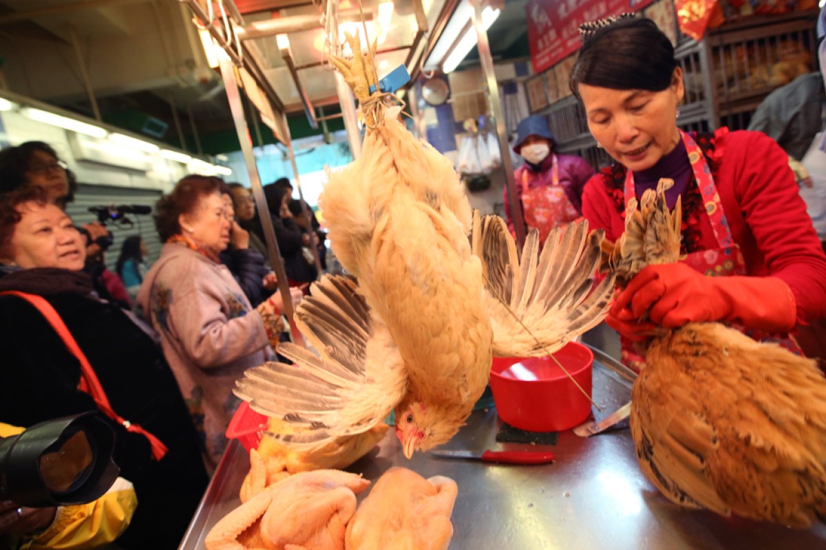 When it comes to chickens, put public health above tradition | South ...