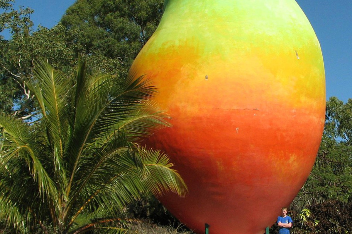 Thieves steal seven-tonne mango attraction in Queensland | South China ...