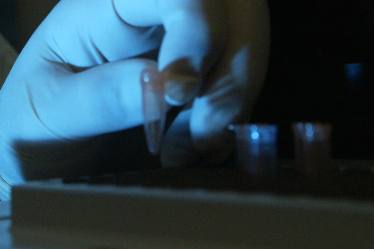 French school plans mass DNA testing after pupil's rape | South China ...