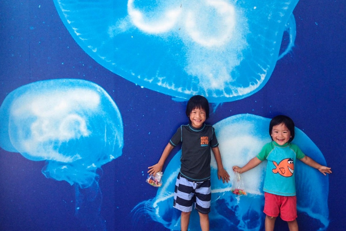 Calling all organ donors: Hong Kong needs you | South China Morning Post