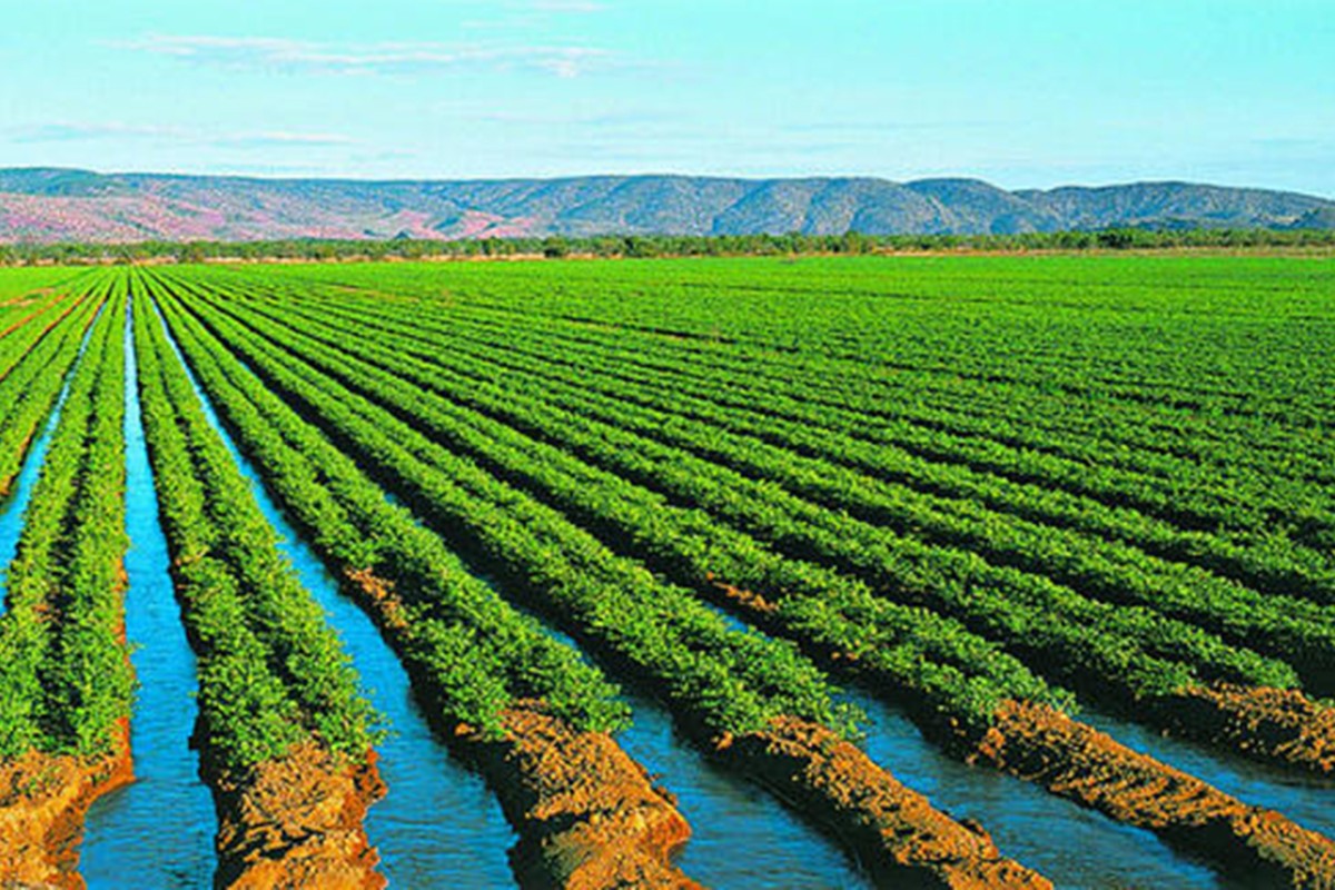 Punting on Australian food bowl | South China Morning Post