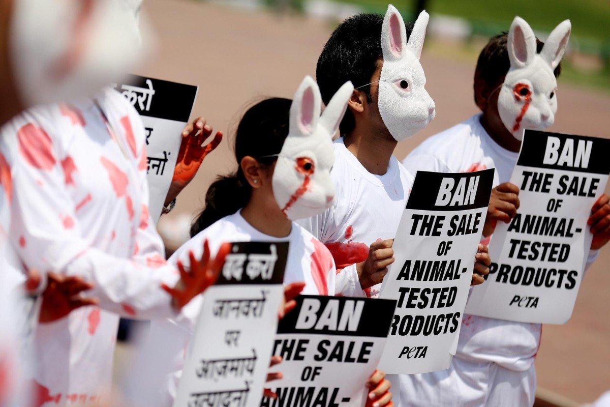 'This eye shadow was tested on rabbits': call for mandatory labelling ...