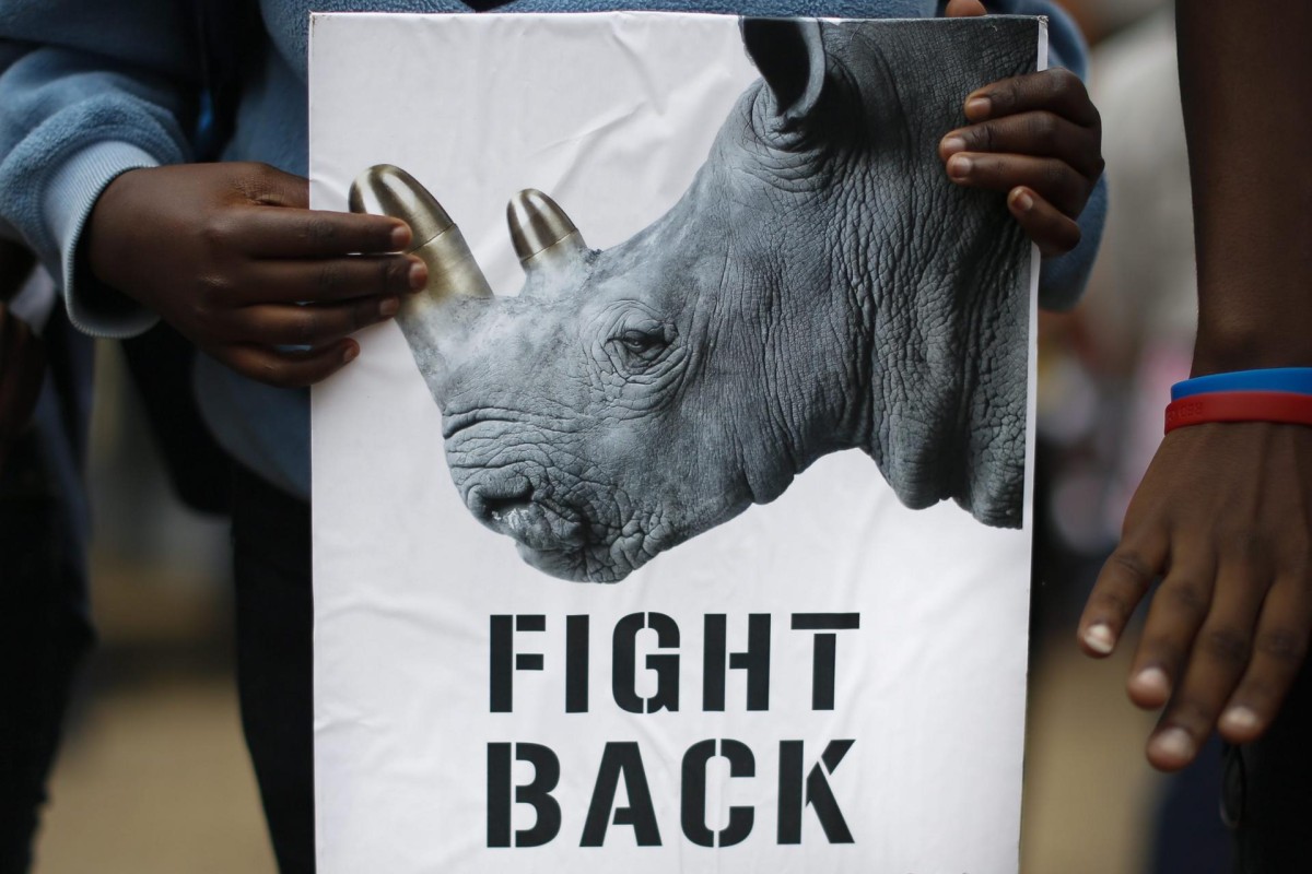 Global March for Elephants and Rhinos attracts thousands to cause ...