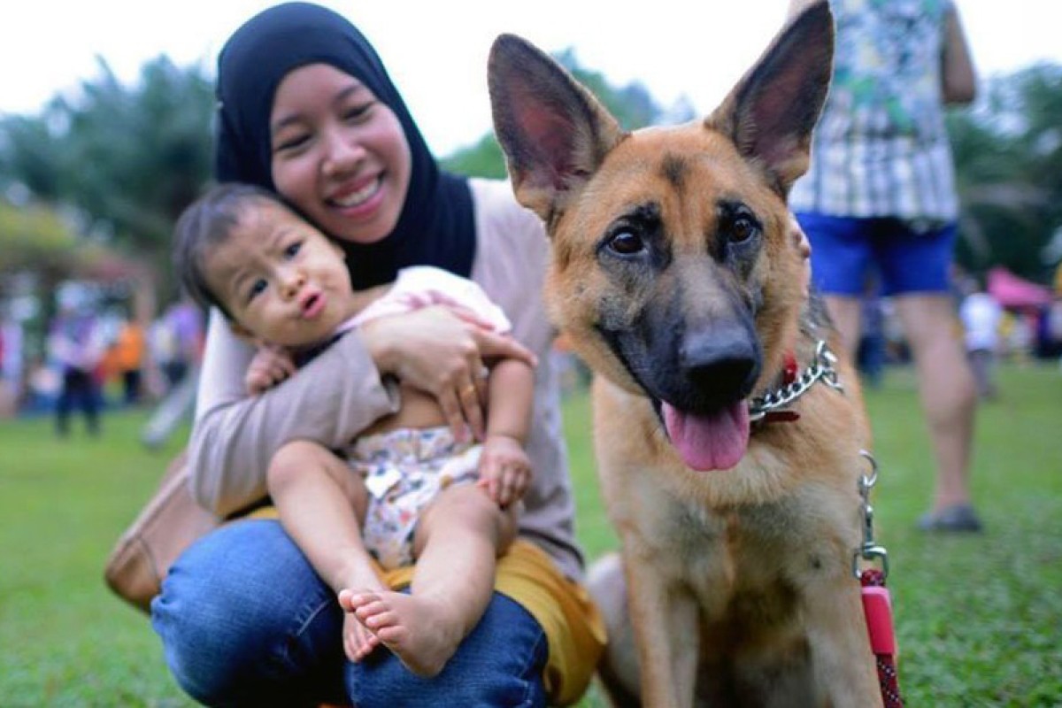Dog-patting event in Malaysia to break down taboos riles clerics ...