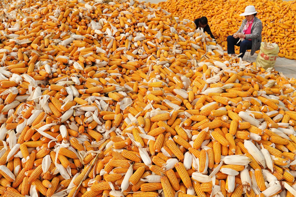 Government to encourage private investment in farming, but executives ...