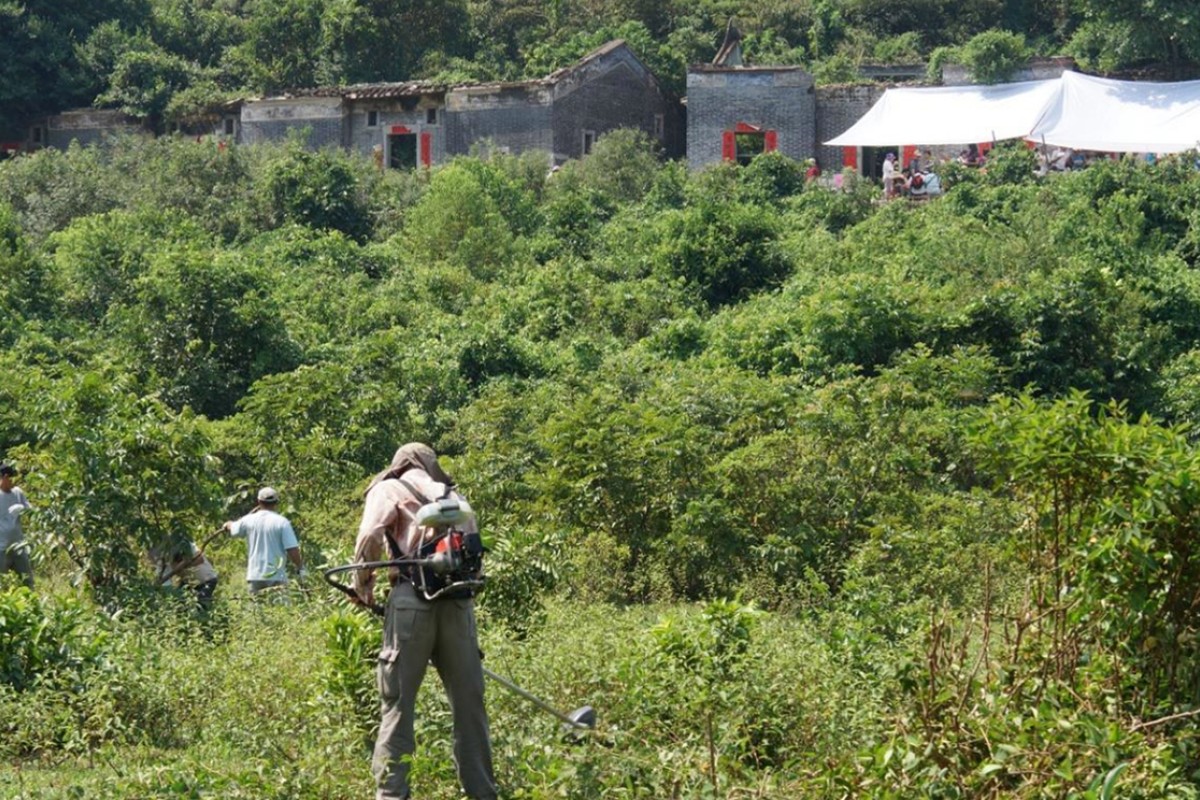 Villagers' wish granted as So Lo Pun enclave zoned for farming | South ...