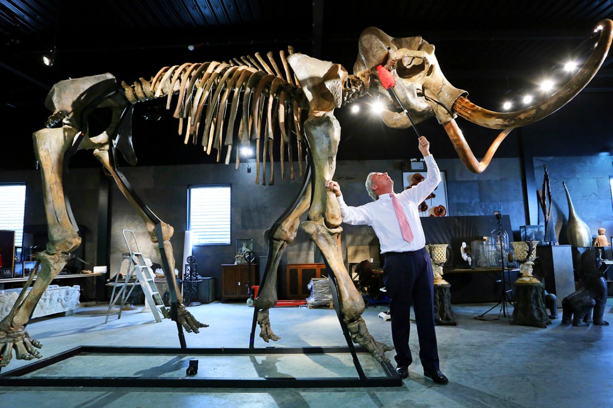 Mammoth price for Ice Age skeleton | South China Morning Post