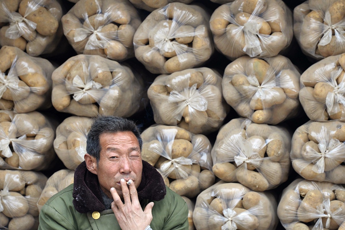 China to grow more potatoes amid struggle to feed world’s most populous ...