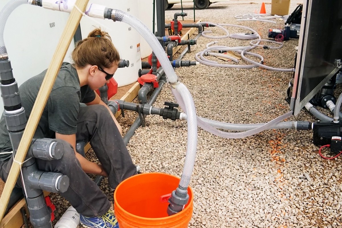 MIT researchers build ground-breaking 'desal' unit that makes salt ...