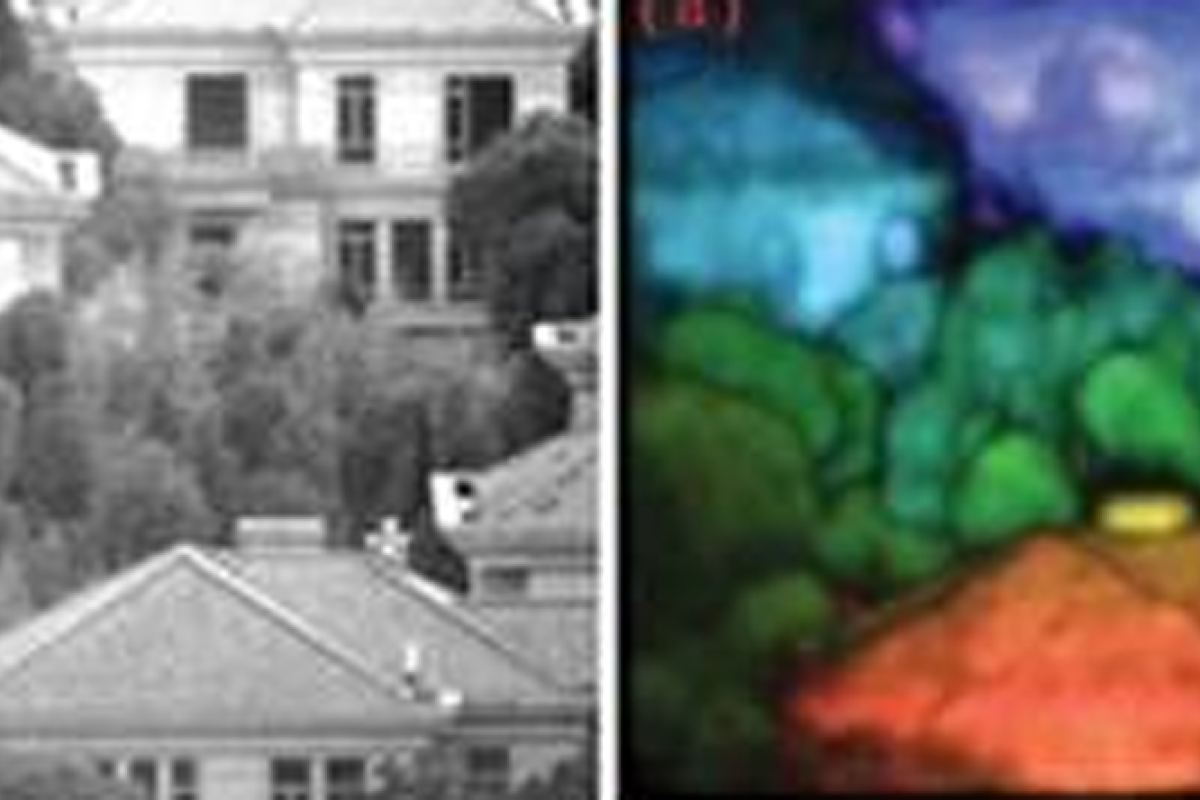 Chasing ghost images: Chinese scientists report breakthrough in a ...