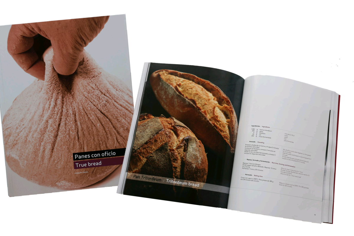 Food book: Panes con Oficio - bread recipes from Spain | South China ...
