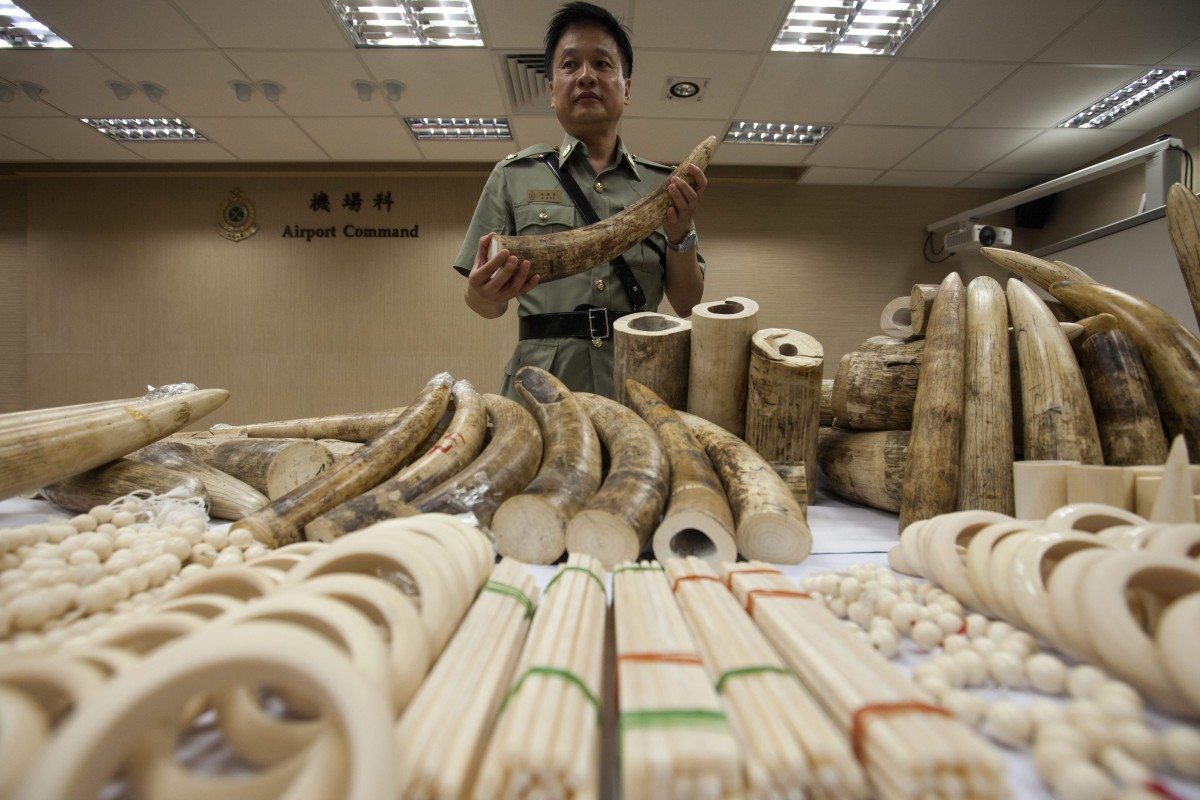 China’s ivory market looks to be cooling amid Beijing’s restrictions ...