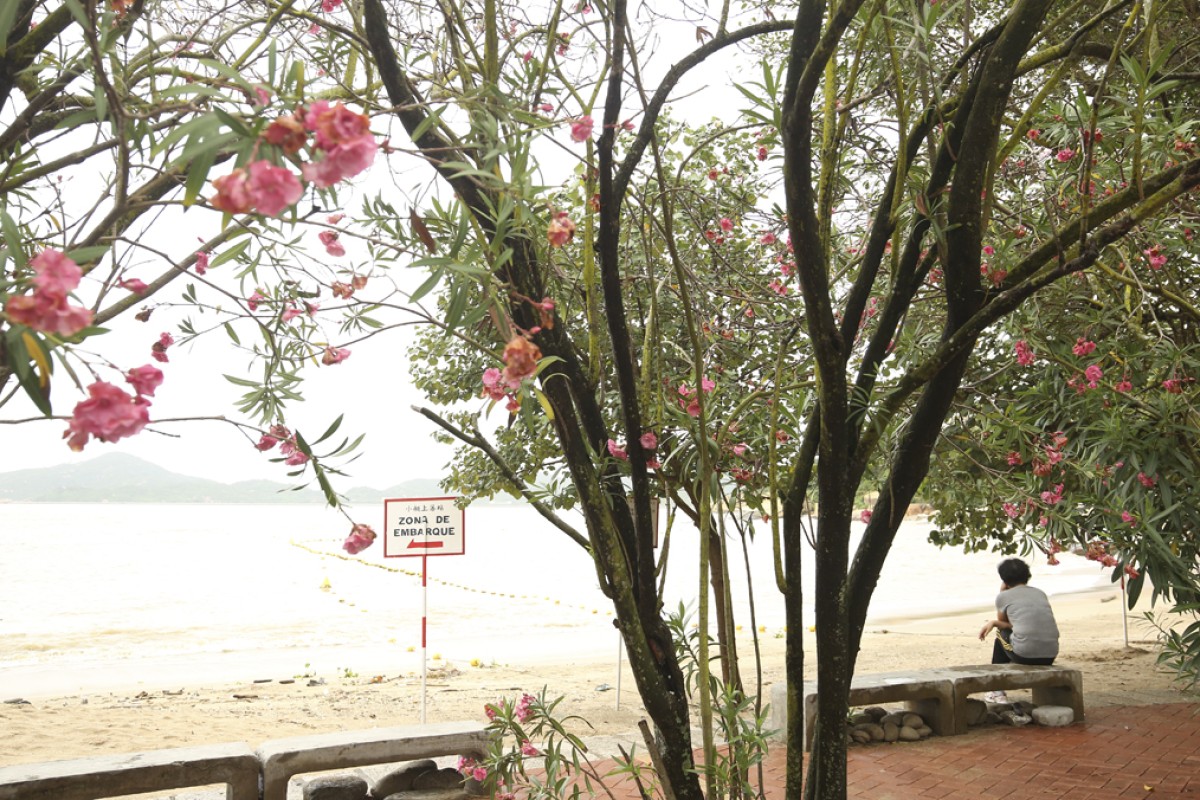 Coloane: Where to go to take a break from Macau | South China Morning Post