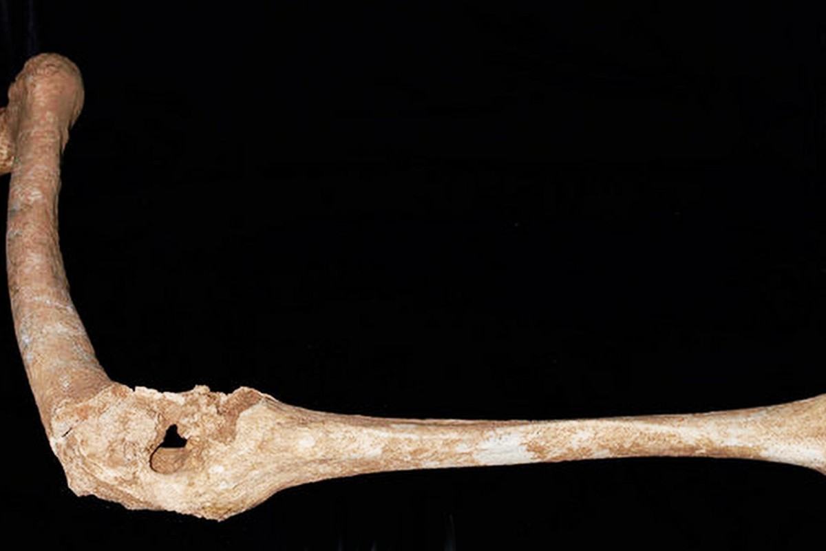 Remains of Alexander the Great's father finally found after historians ...