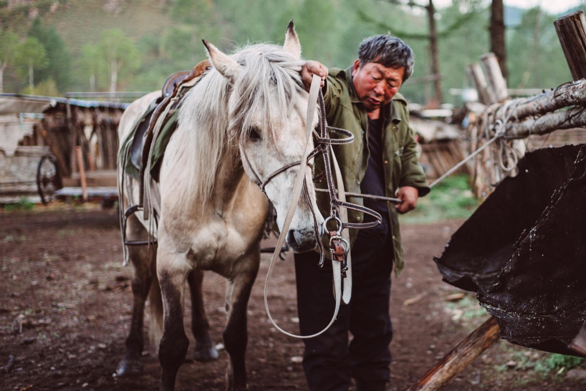 China's reindeer people: a Hongkonger helps revive lost way of life ...