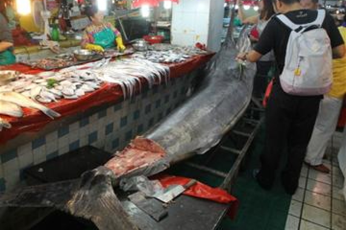 ‘Largest-ever’ swordfish caught in China’s Yellow Sea ends up in market ...
