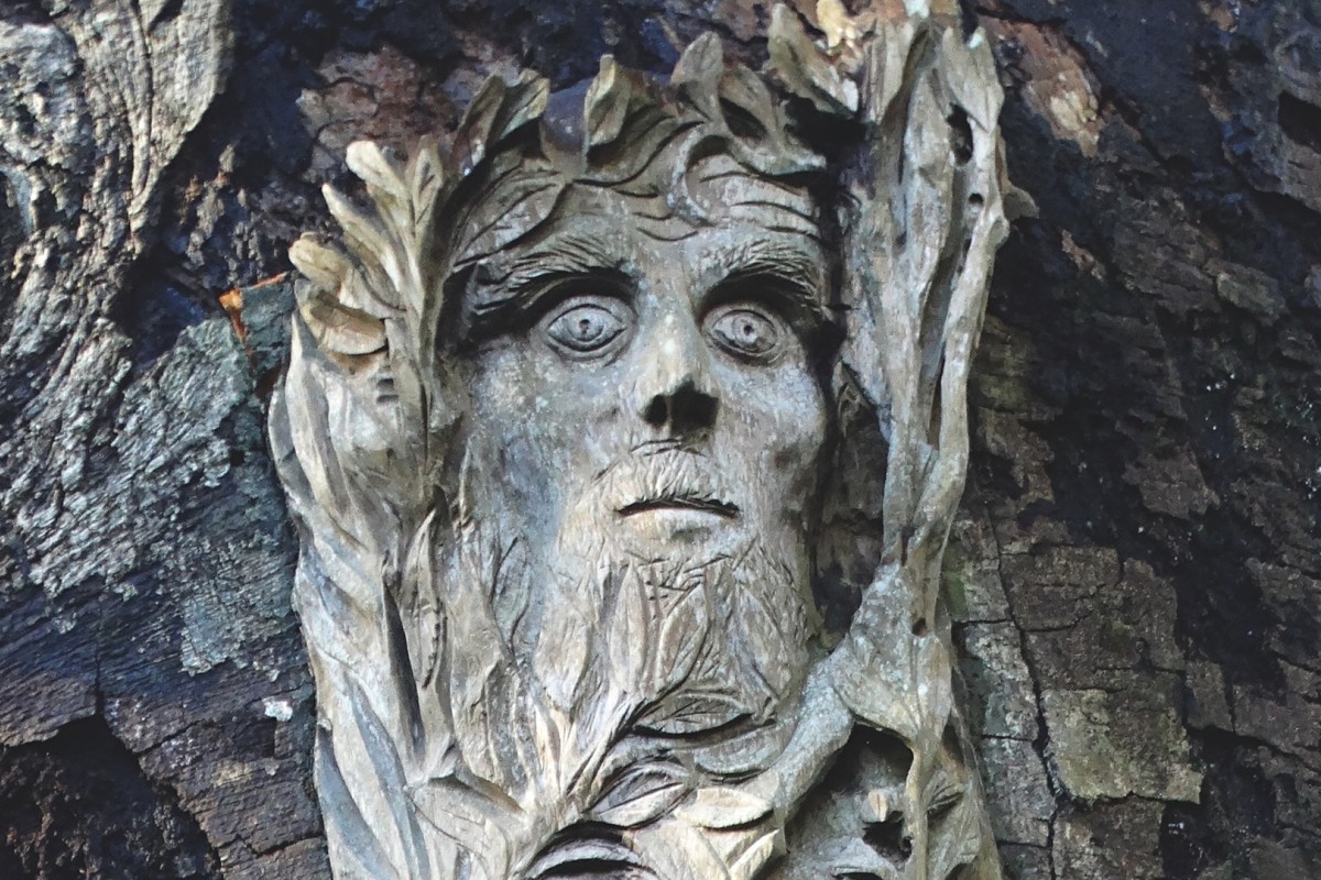 Book review: Thomas Pakenham's lyrical chronicle of a year spent ...