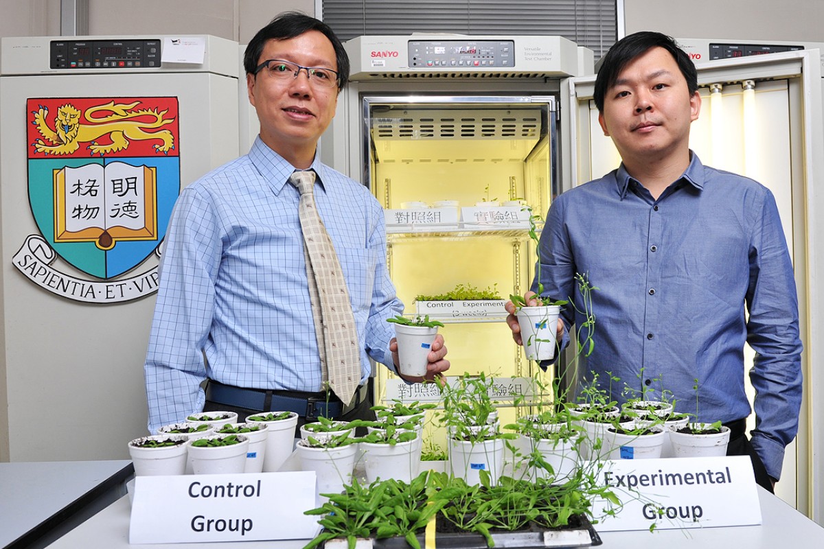 Scientists at HKU discover method for speeding up plant growth cycles ...