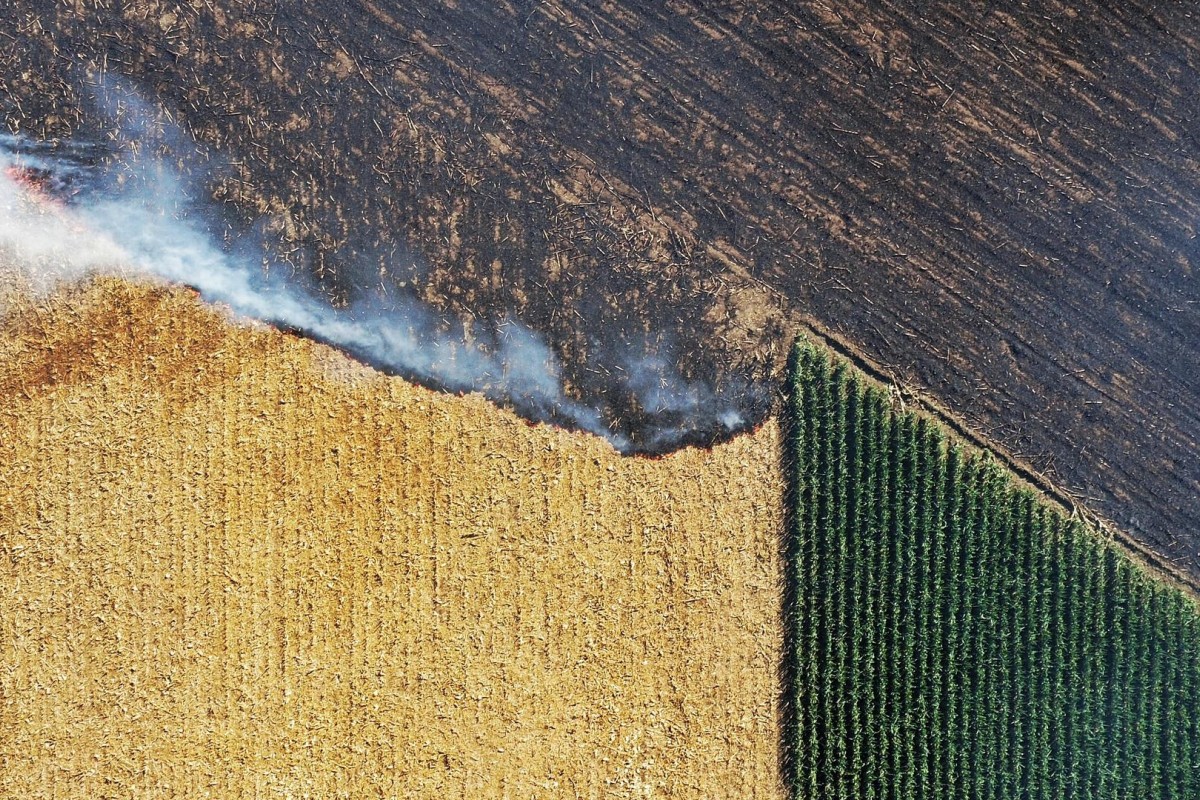 Threats fail to stamp out polluting crop-stubble burn-offs in China as ...