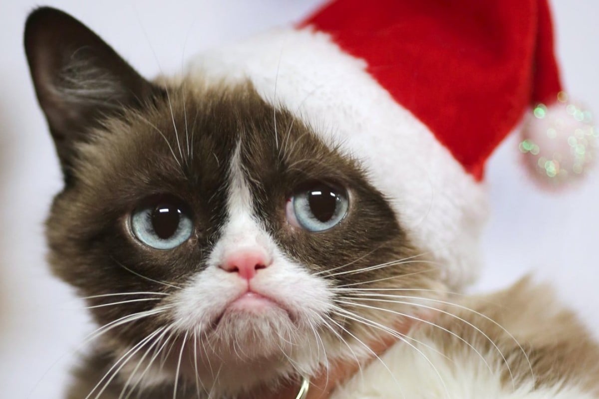 Forbes 400 ‘fat cats’ are worth as much as all 36 million US households ...