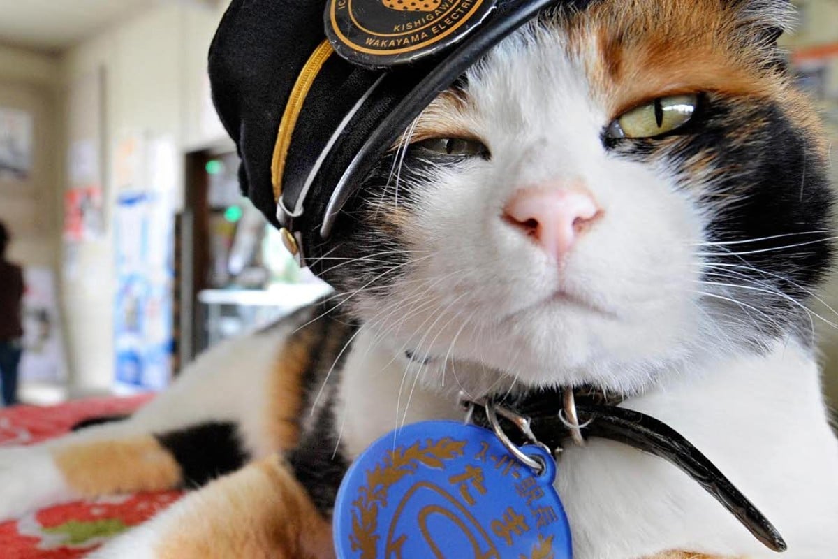 Japan’s lucky cats may be cute but they won’t save the economy | South ...