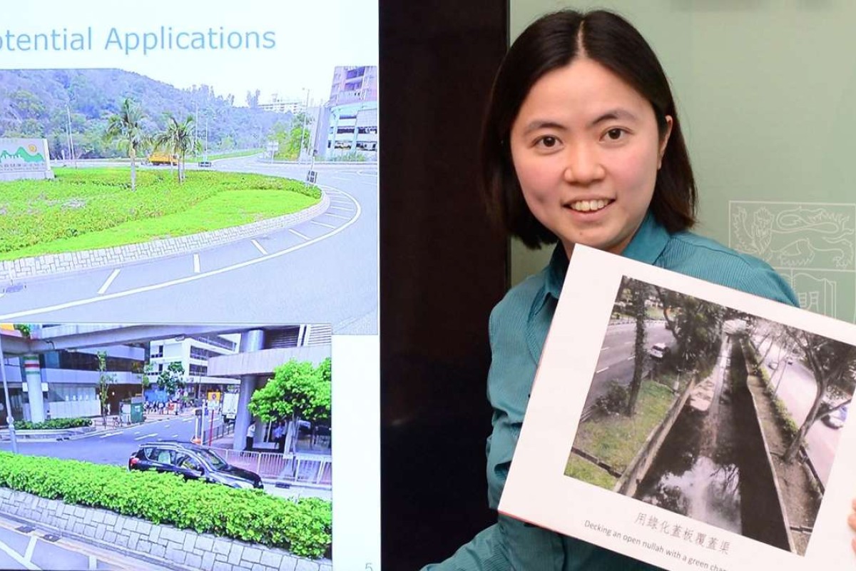 HKU researchers call for more sustainable drainage systems | South ...