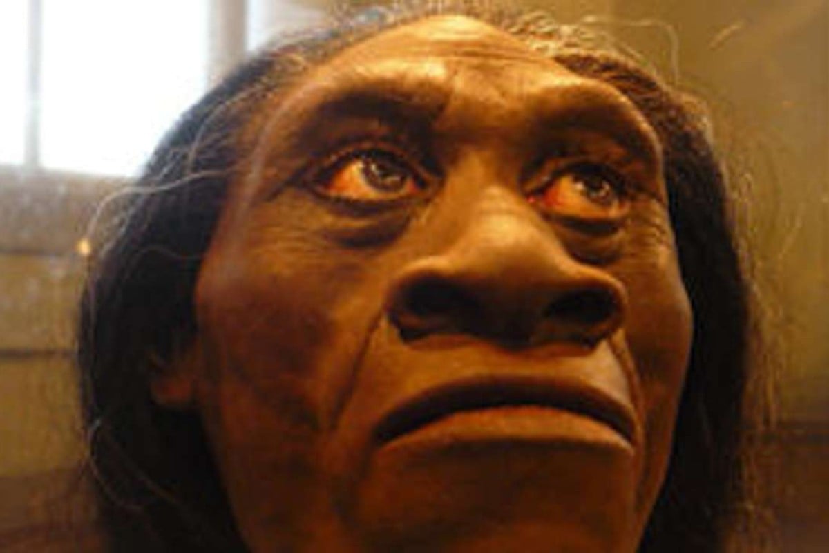 Indonesia's 'hobbits' disappeared about same time modern humans arrived ...