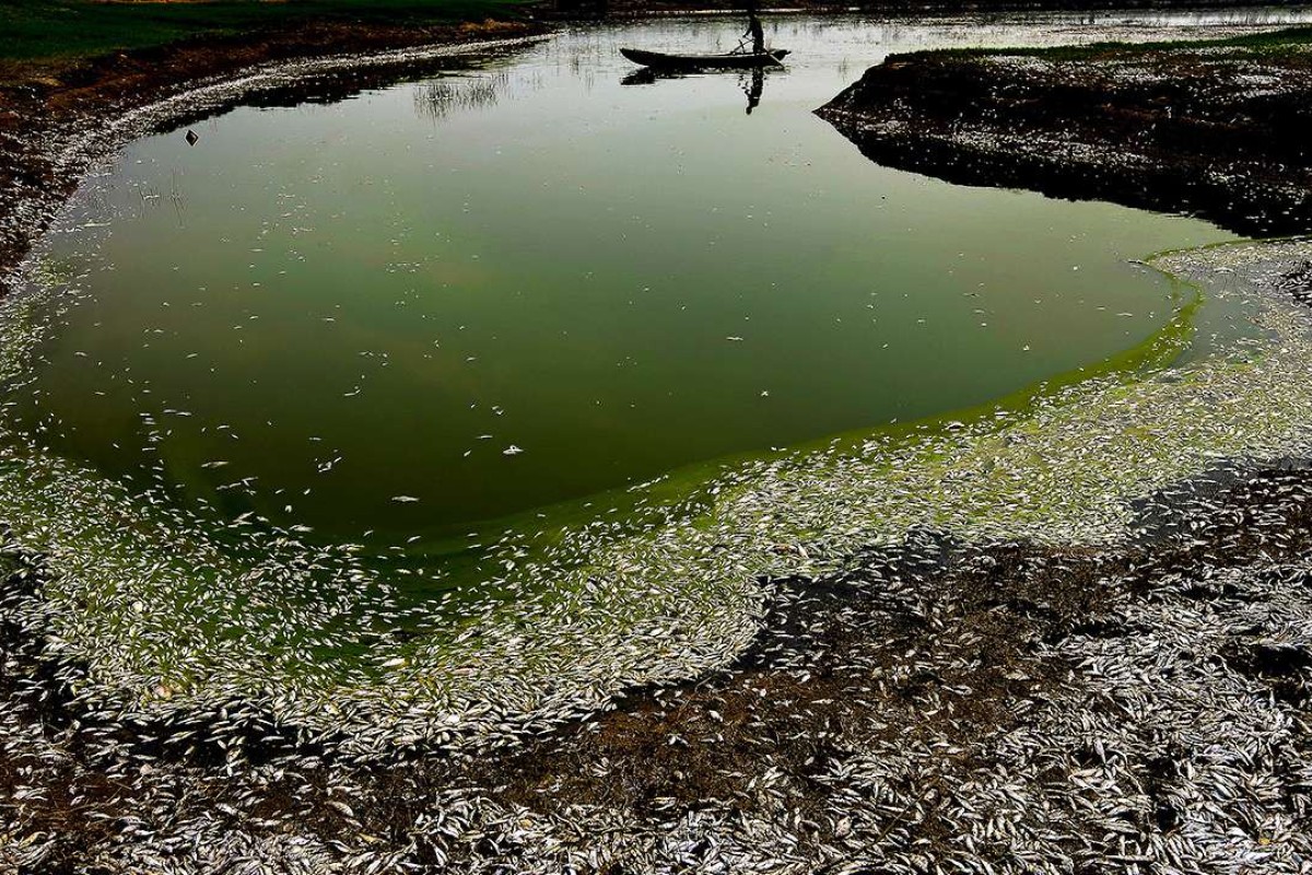 80 per cent of groundwater in China’s major river basins is unsafe for ...