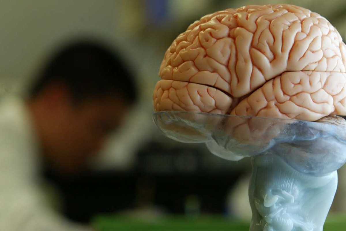 Researchers collect brains of US troops to study link between battle ...