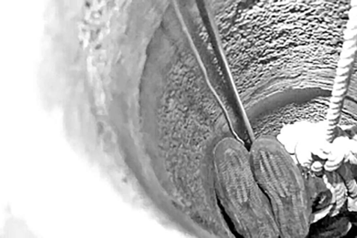 Reluctant rescue: police save uncooperative man from bottom of well ...