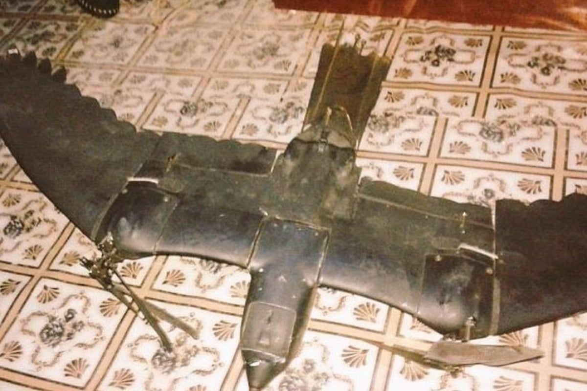 Look, up in the sky: it’s a bird, it’s a plane, it’s a ... disguised ...