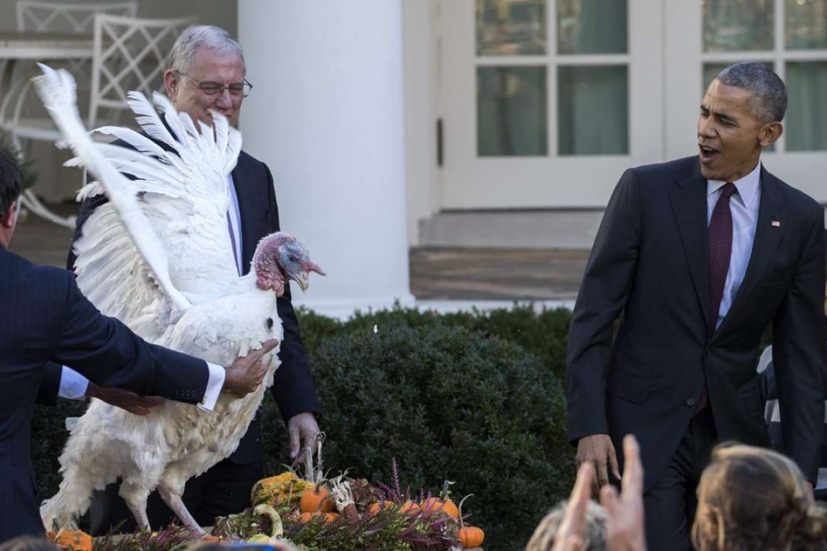 Obama welcomes turkeys into the White House, pardons them for ...