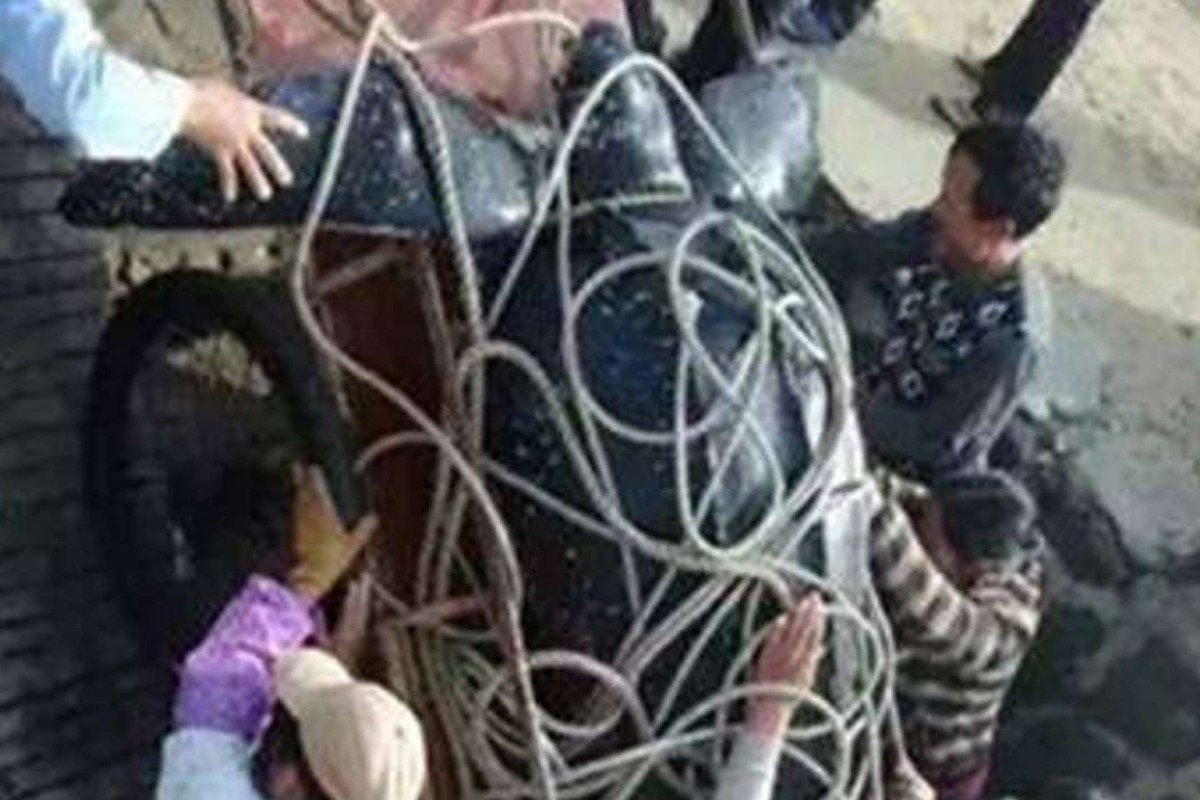 Guangdong investigates slaughter of 200kg protected giant sea turtle ...