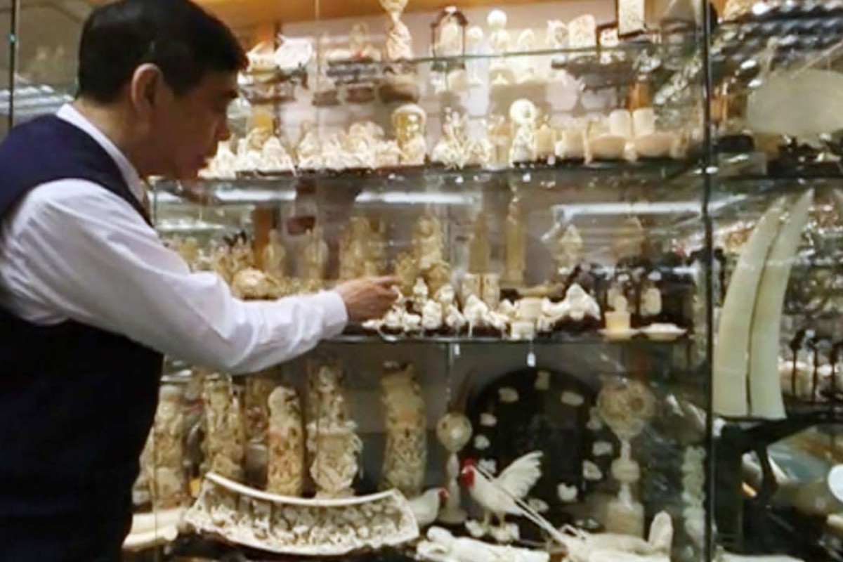 Hong Kong’s illegal ivory hub status ‘could grow after planned mainland ...